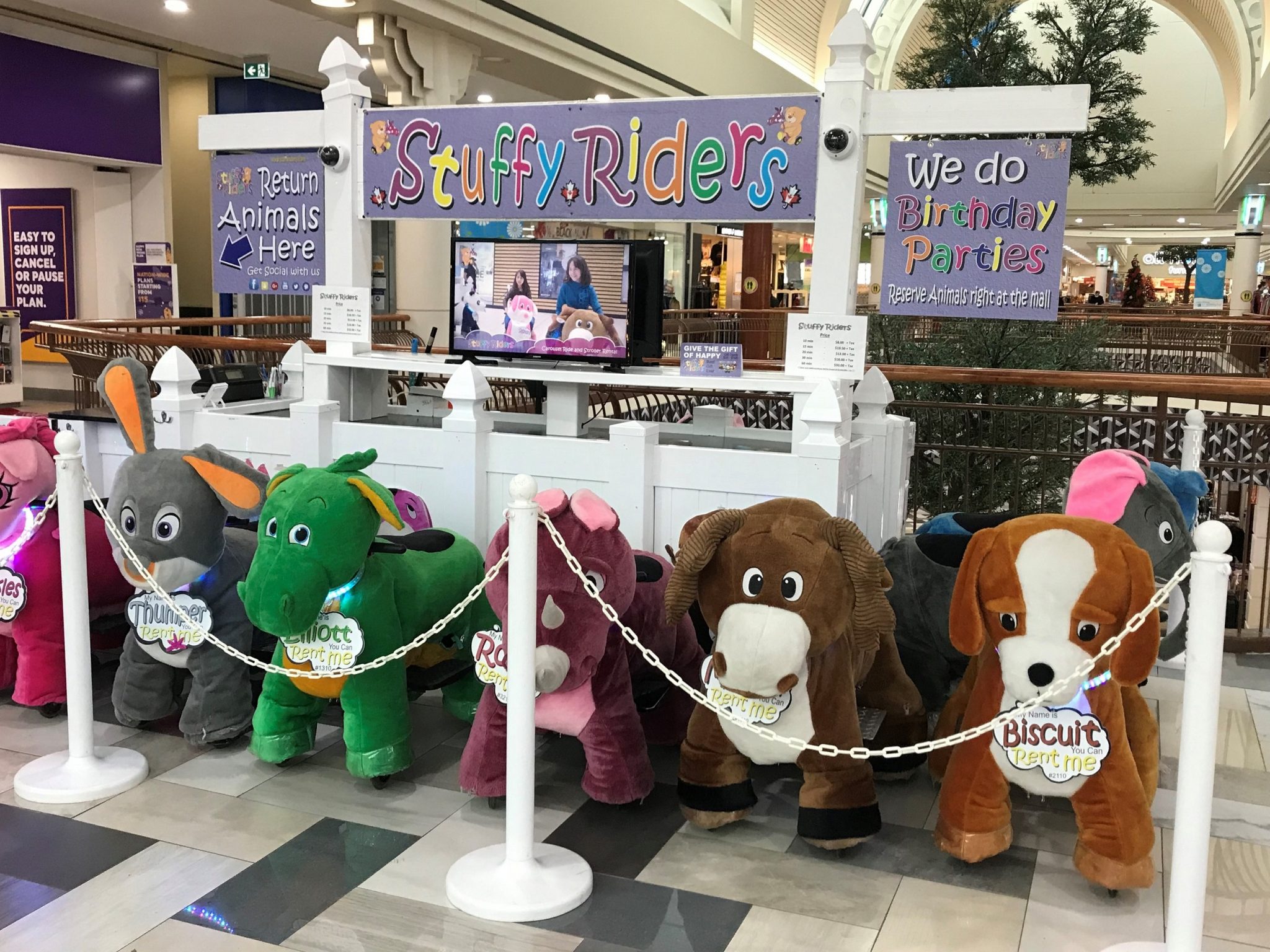 Woodbine – Stuffy Riders